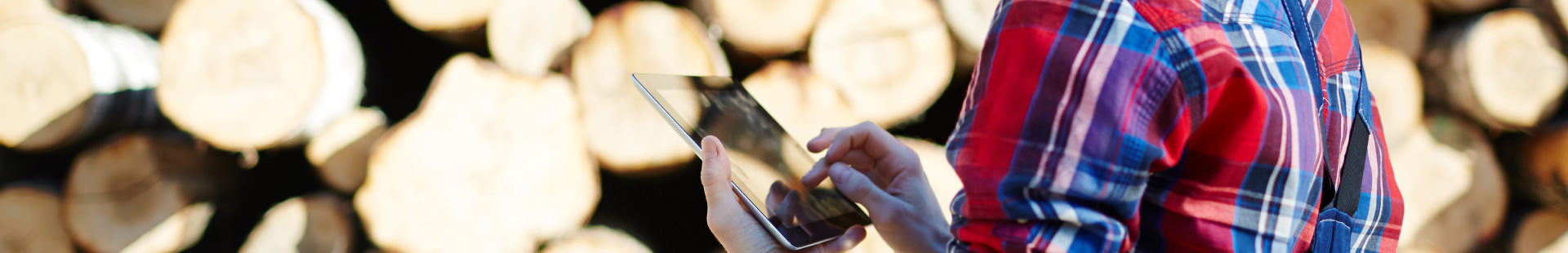 Tree Roots Lifting Driveways and Footpaths - Heritage Tree Care