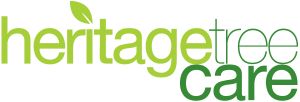 Brisbane’s leading Arborist & Tree Care specialists - Heritage Tree Care