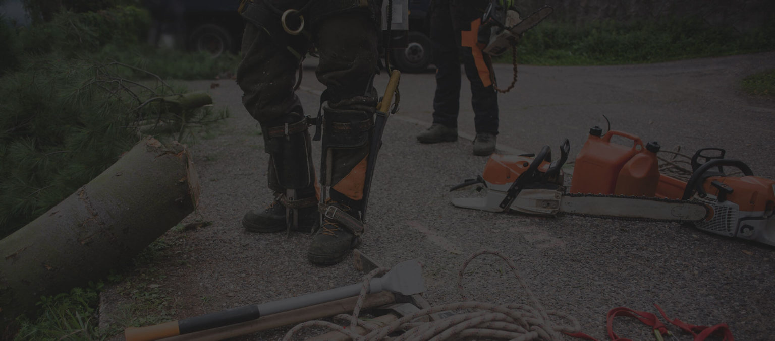 Home - Heritage Tree Care