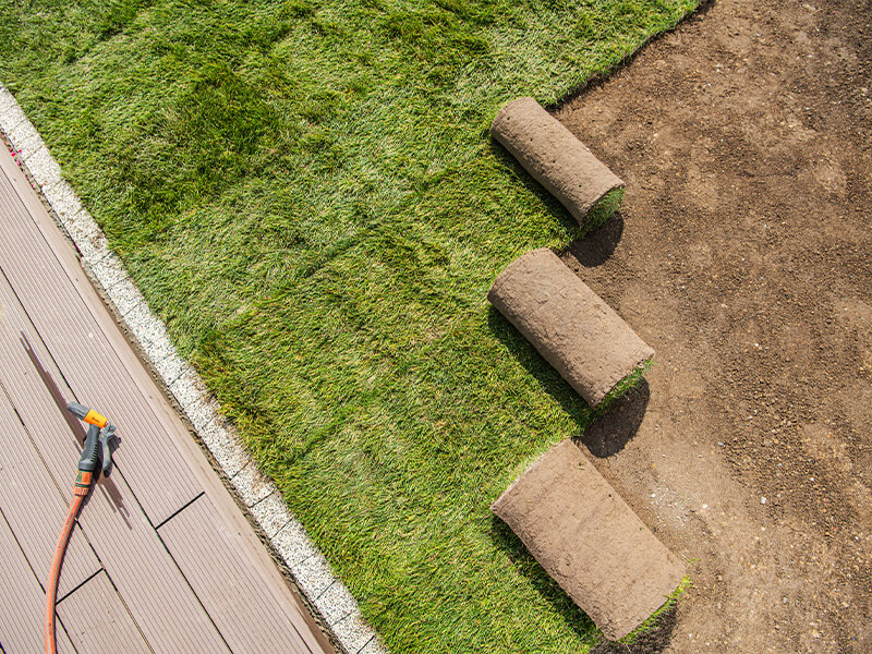 Turfing - Heritage Tree Care