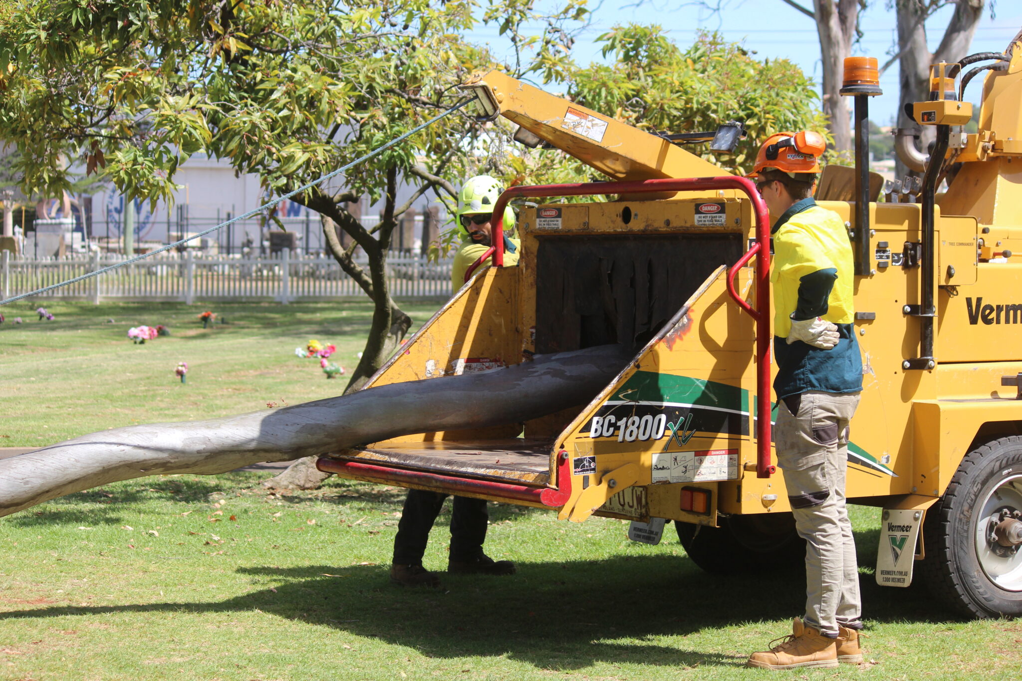Chipping - Heritage Tree Care