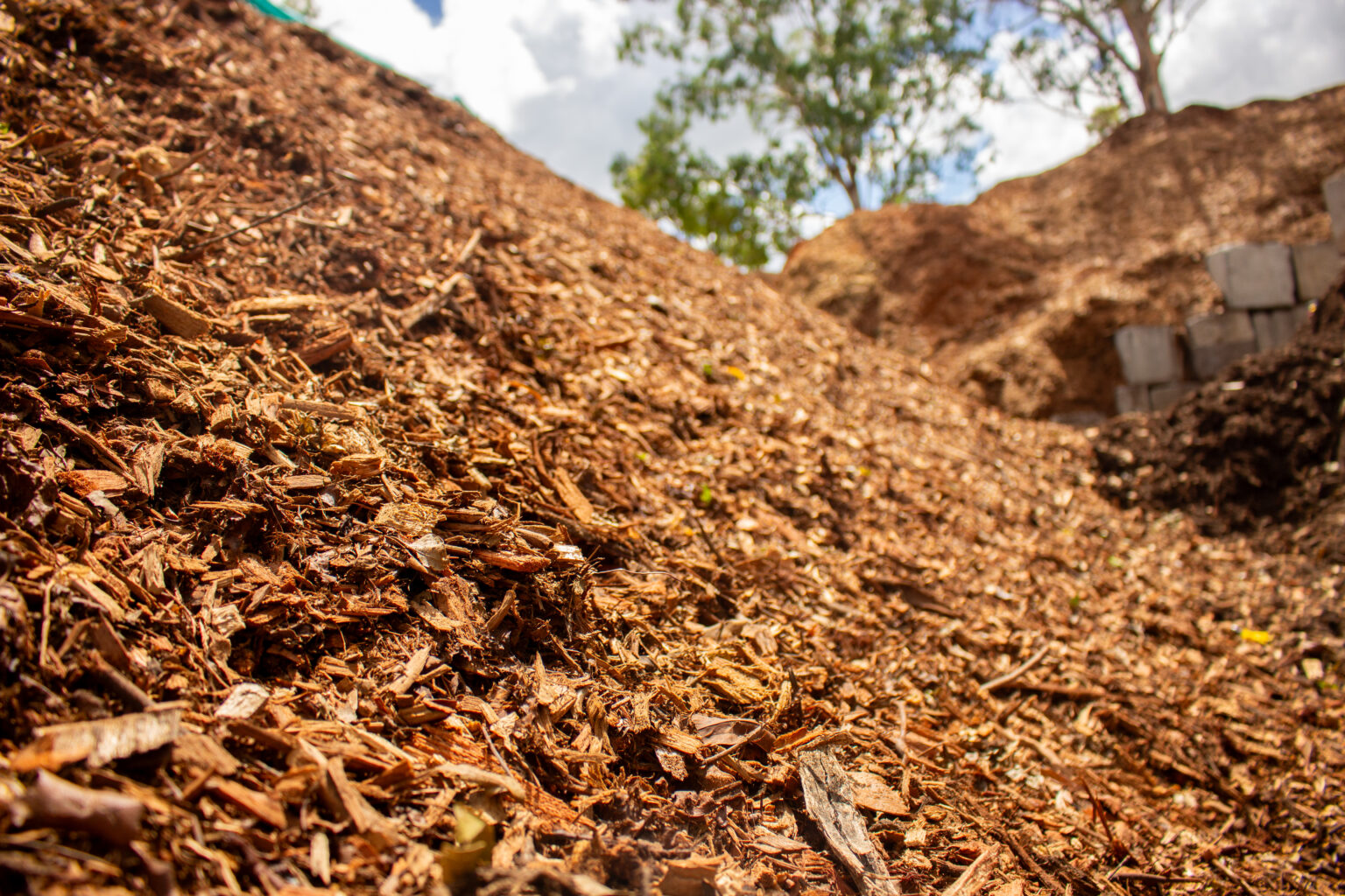 Mulching 101 - A basic rundown on the benefits of mulching! - Heritage ...